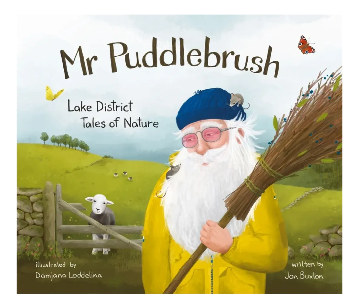 Mr Puddlebrush - Coppermines