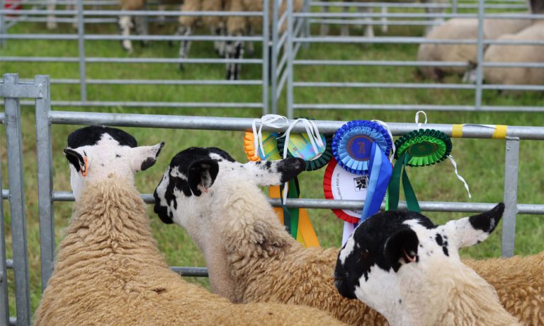 Why You Should Visit The Westmorland Country Show